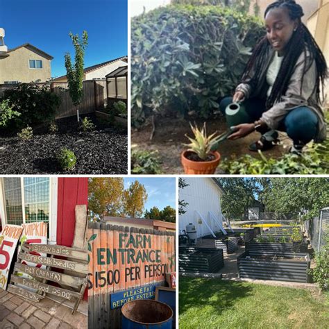 World Environment Day Kdc Construction