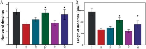 Numbers Of Dendritic Branches A And Length B Of Neurons Cultured On