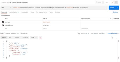 Creating Custom OCAPI Endpoints The Rhino Inquisitor