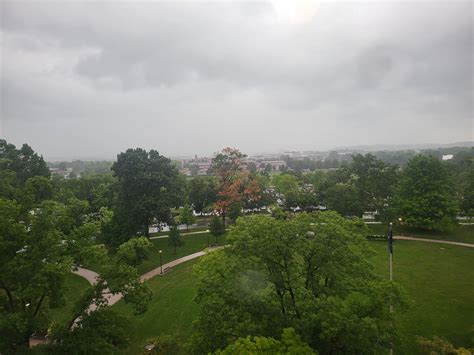 Storm Temporal A Toast Between Seasons