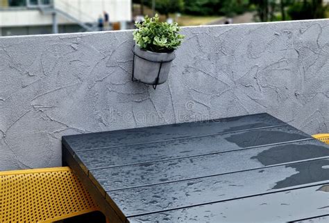 Interview Blog With Journalists Reporter About Things About Sex Stock Photo Image Of