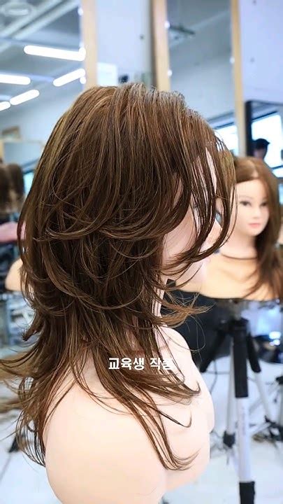 레이어드컷 레이어드컷 커트교육 나는미용사다호남 커트기초 헤어디자이너 미용사 미용교육 Youtube