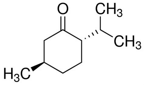 L Menthone At ₹ 700kg Graded Menthone In New Delhi Id 25672015648
