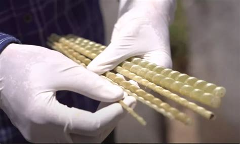 Iit Hyderabad Propose Use Of Gfrp Rebar Discrete Fiber Based