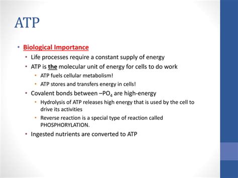 Four Classes Of Macromolecules Ppt