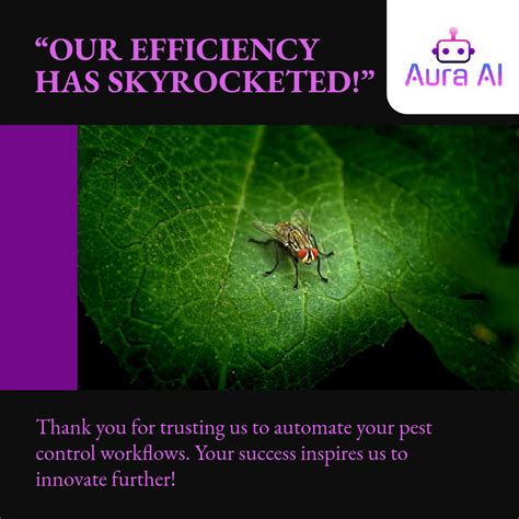 Aura Ai Pro On Linkedin Automation Businessgrowth Efficiency