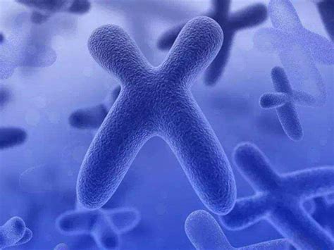 男性染色体缺失不能做二代试管，达不到优生优育真得慎重 相因宝贝