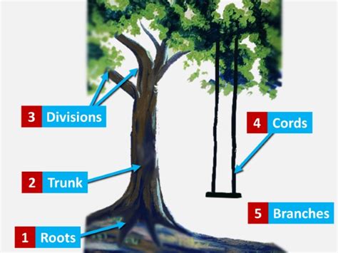Drawing Brachial Plexus Simple Tips To Draw Rish Academy