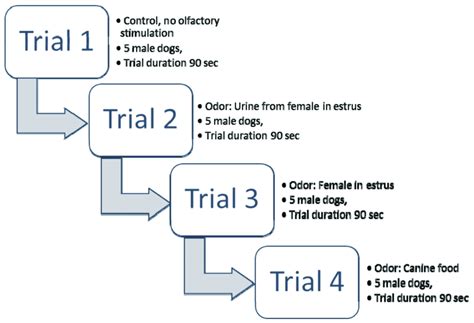 Scheme Of Experiment 1 Download Scientific Diagram