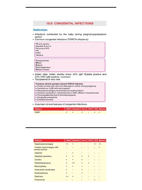 Torch Infection Pdf
