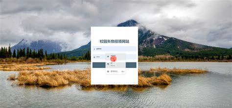 基于springboot vue校园失物招领网站的设计与实现 前端失物招领网页设计 csdn博客