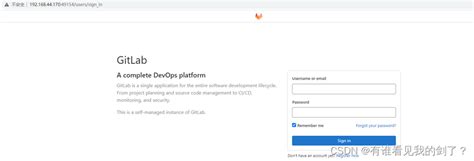 使用docker搭建gitlab服务器 docker搭建git服务器 csdn博客