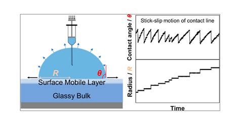 Wetting Reveals The Surface Dynamics Of Polymer Glasses Macromolecules