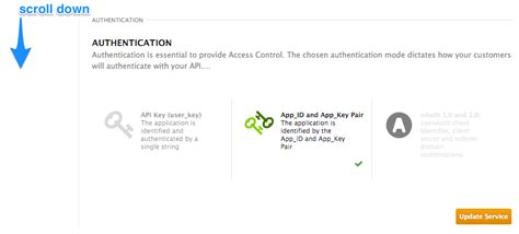 API Authentication Red Hat Product Documentation
