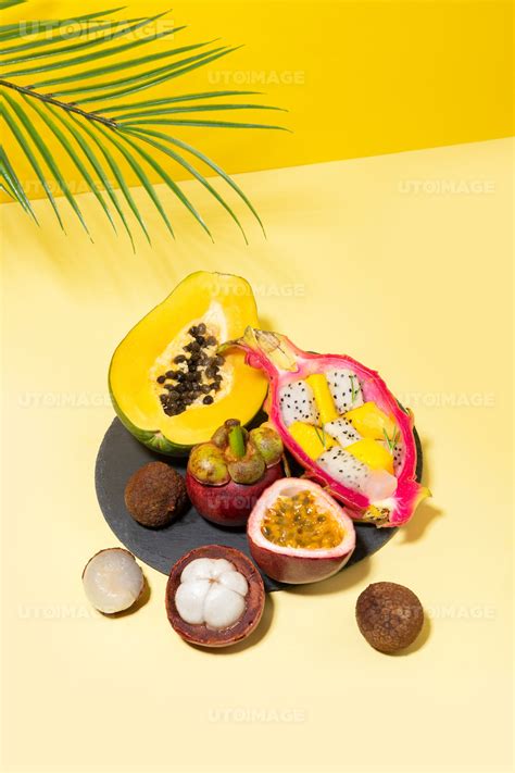 열대과일 트로피칼 잎과 열대과일 모음 사진 이미지 유토이미지 상세페이지 베이직샵 사진 22144381