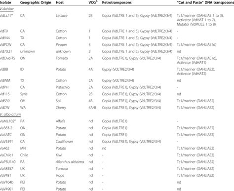 Survey Of Verticillium Dahliae And V Albo Atrum Isolates For The