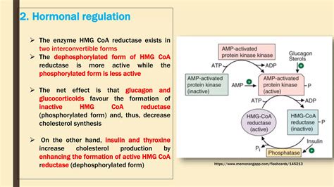Regulation And Significance Of Cholesterol Biosynthesis Pptx