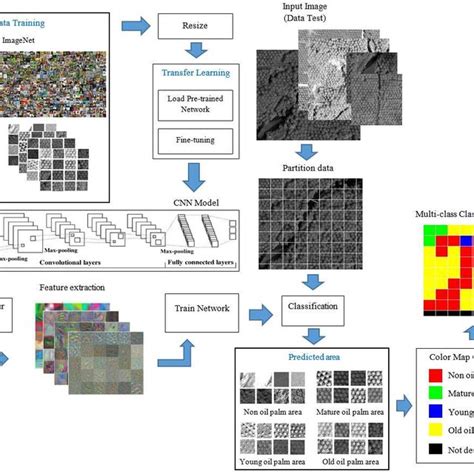 Framework For Multi Class Classification Of Oil Palm Plantations