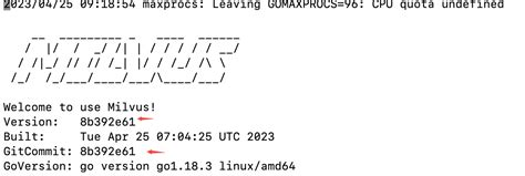 Bug Collection Creation Int64 Error When Trying To Create Varchar As