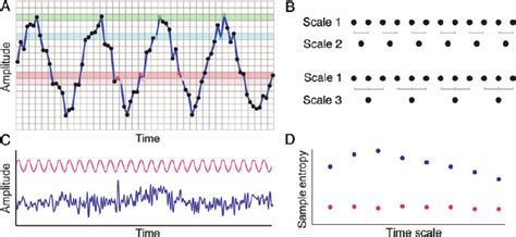 Mse Analysis Sample Entropy Is Calculated By Counting The Number Of