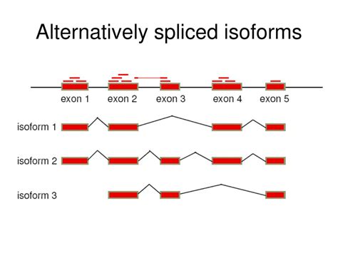 Ppt Measuring Isoform Expression From Rna Seq Data Based On Lda