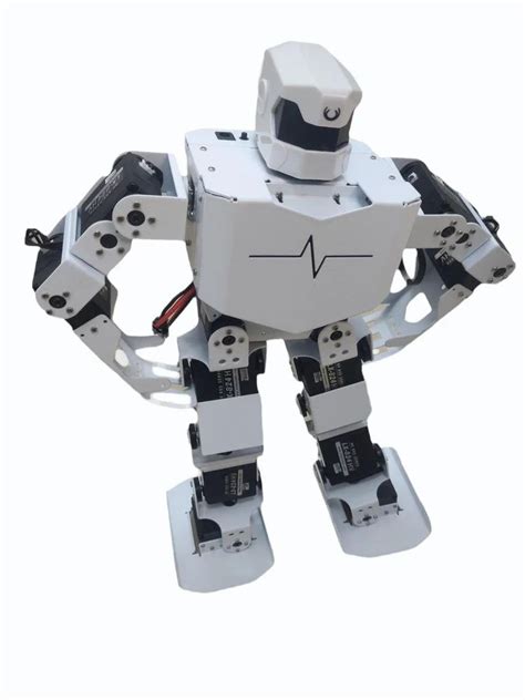 programmable humanoid robot at rs 100000 unit chennai id 2852741304262