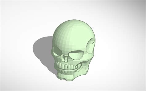 3d Design Skull Tinkercad