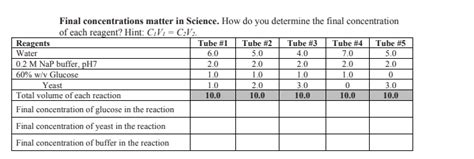 Solved Final Concentrations Matter In Science How Do You Chegg Com