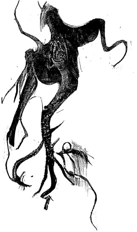 Gourmand Demo Gourmand