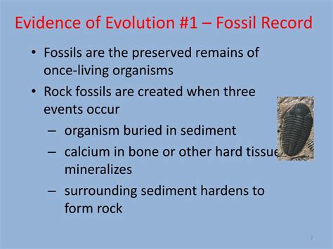 Ppt The Evidence For Evolution Powerpoint Presentation Free Download Id 3069551