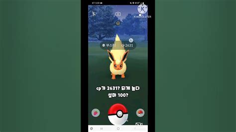 [포켓몬 고] 야생 유일왕 부스터 Cp가 2631 포켓몬고 부스터 Youtube