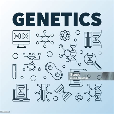 Vector Genetics Modern Illustration In Outline Style Stock Illustration Download Image Now