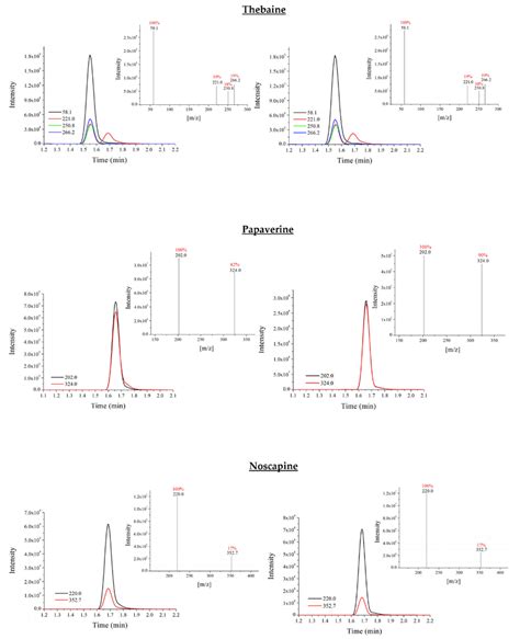 Comparison Between The Extracted Ions Chromatograms And The Intensity