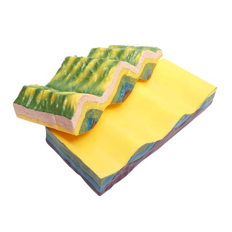 Fold Structure And Morpological Evolution Model Teaching Instrument