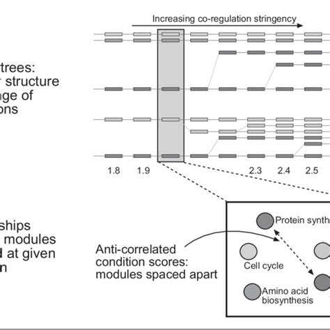 visualisation of large scale expression data a module trees