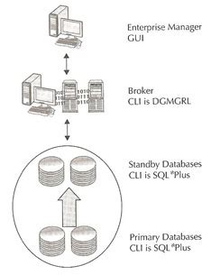 Data Guard Physical Standby DB
