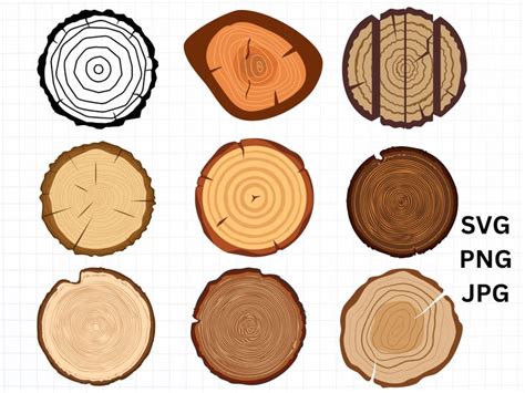 Wood Slice SVG Bundle Tree Rings Svg Wood Slice Dxf Wood Slice Png Wood Slice Vector Tree