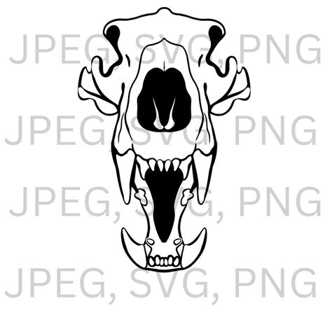 Animal Skull Svg Halloween Svg Bear Skull Svg Skull Svg Animal