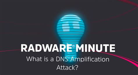 Dns Ddos Protection Radware