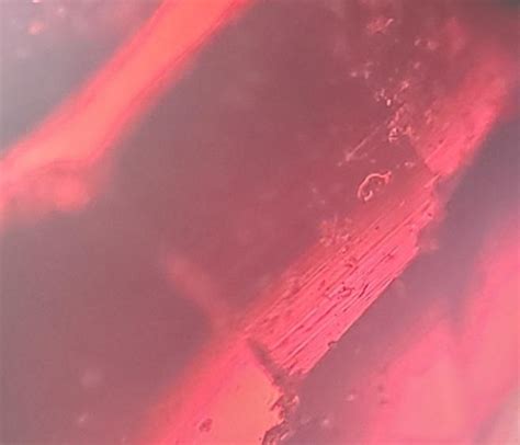 purported vintage ruby under microscope still working on photo