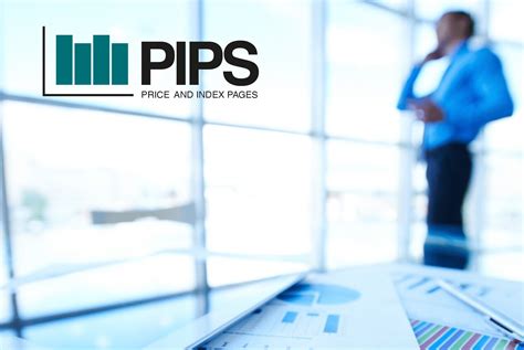 2025 2026 Price And Index Pages Subscription Seifsa