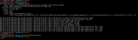 Openwrt中运行一段时间后chinadns ng会出现大概率返回超时的情况 Issue zfl chinadns ng GitHub