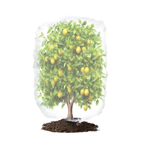 Agfabric 48 In X 55 In Garden Drawstring Bird Insect Netting Bags