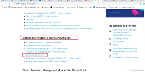 在elasticsearch官网查阅文档 elasticsearch官网文档 csdn博客