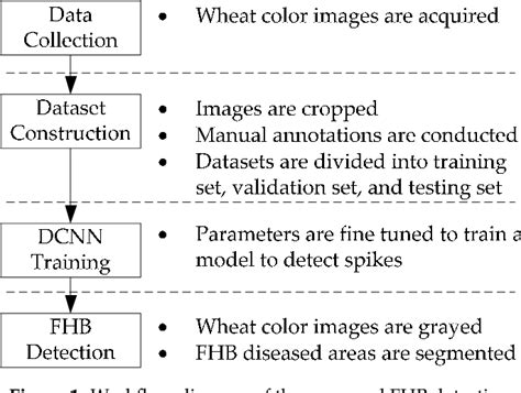Figure 2 From Detection Of Fusarium Head Blight In Wheat Using A Deep Neural Network And Color