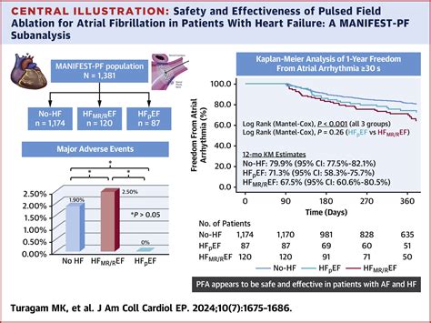 Safety And Effectiveness Of Pulsed Field Ablation For Atrial Fibrillation In Patients With Heart
