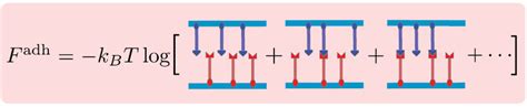 Ensemble Averages And Adhesion Free Energy The Multivalent Adhesion