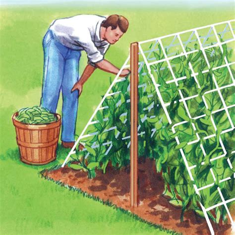 Trellis Netting Nylon Trellis Netting Miles Kimball