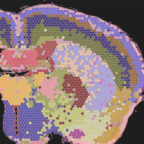 Stellaris Accurate Spatial Mapping Of Scrna Seq Data