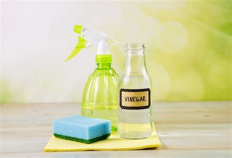 How To Remove Dead Bugs From Your Car Autoevolution